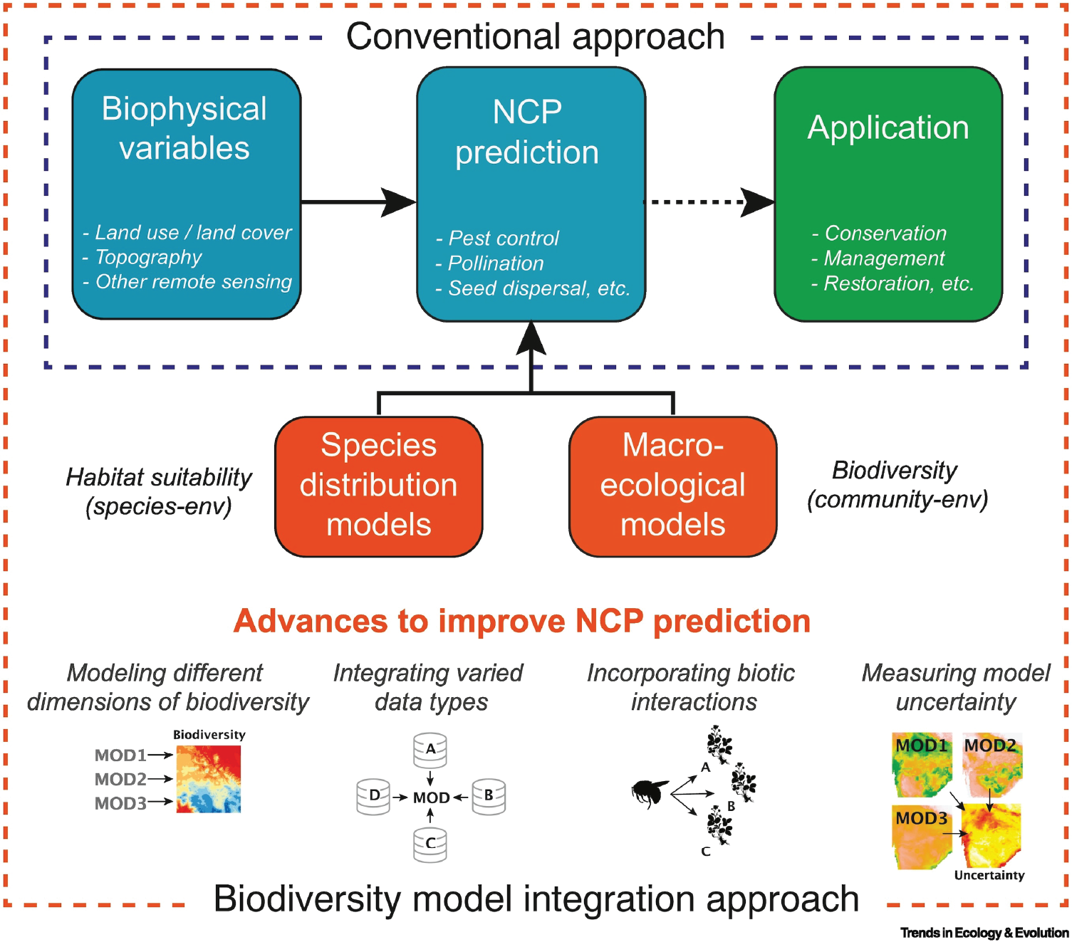 Macroecology Lab @ Tohoku University